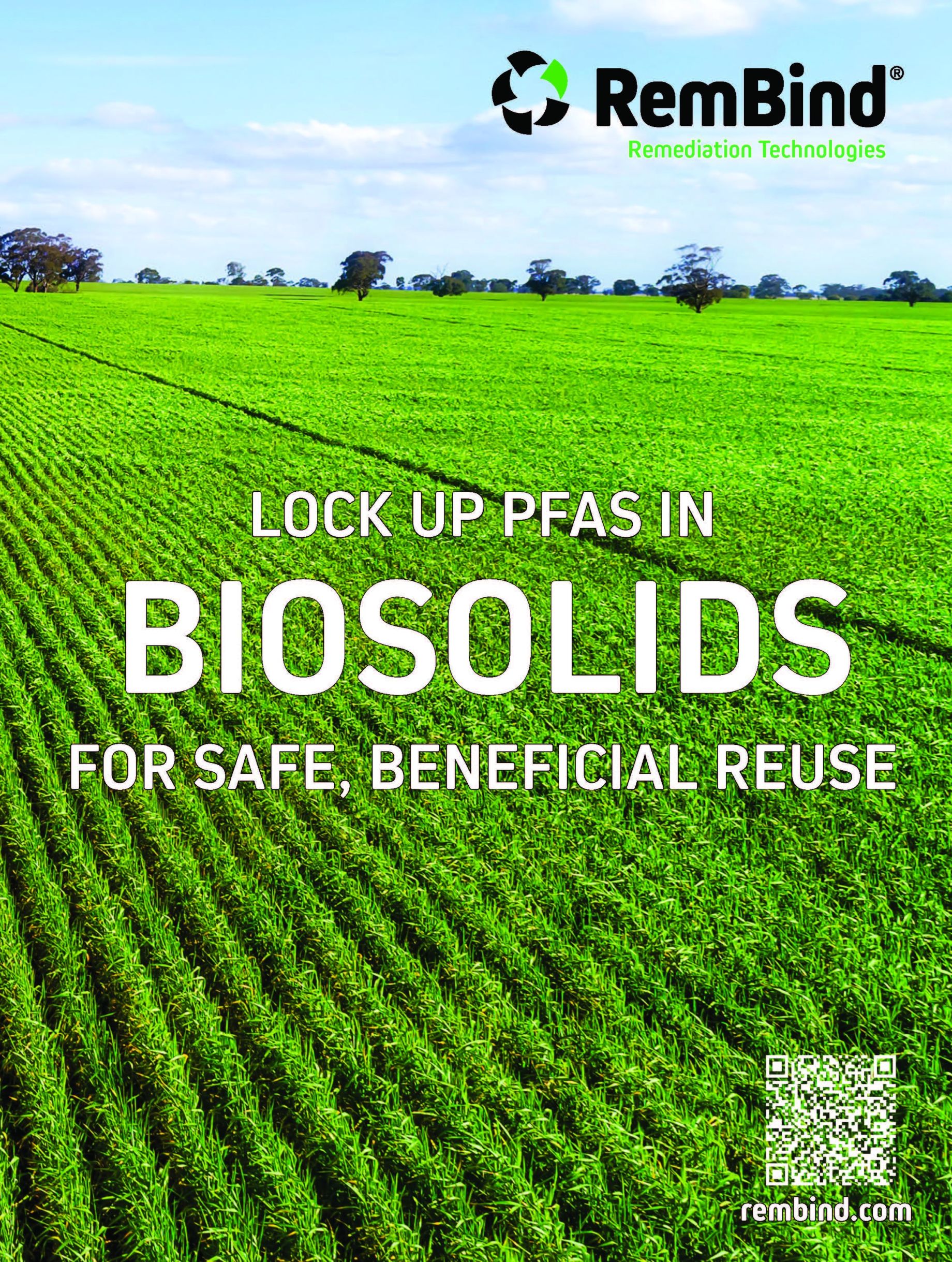 PFAS Soil Remediation