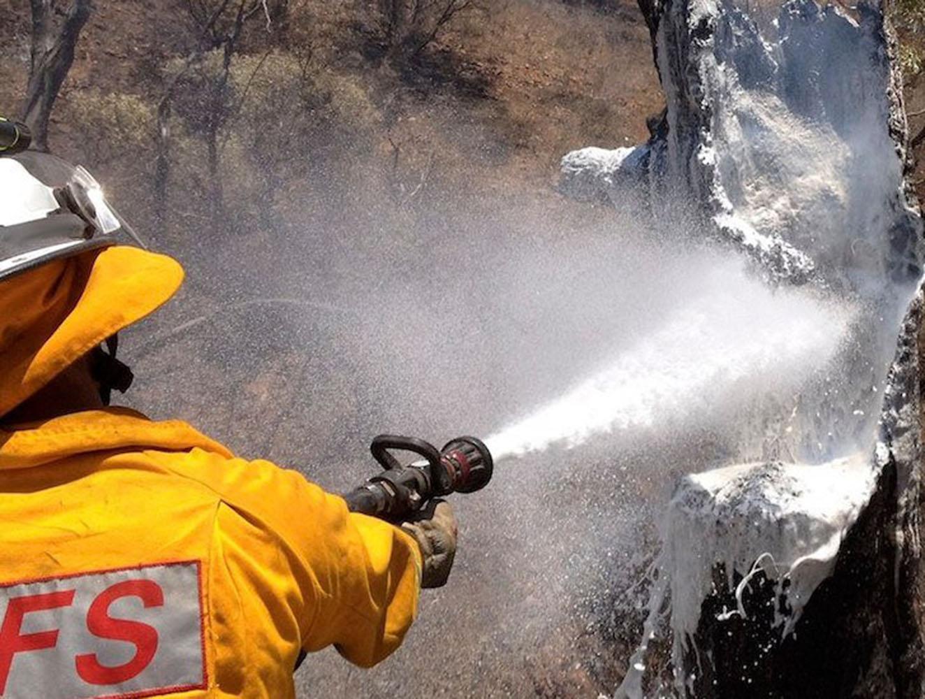 CSIRO ECOS - RemBind